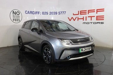 Used Byd Cars for Sale in Honiton | Exchange & Mart